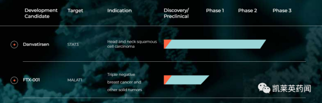 加速STAT3小核酸药物研发！Flamingo和Dynacure宣布合并，成立领先的专注于肿瘤学的RNA治疗公司_腾讯新闻