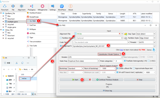 iMeta｜兰州大学张东青年研究员：使用PhyloSuite进行分子系统发育及系统发育树的统计分析_腾讯新闻