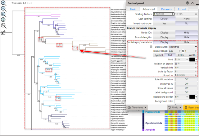 iMeta｜兰州大学张东青年研究员：使用PhyloSuite进行分子系统发育及系统发育树的统计分析_腾讯新闻