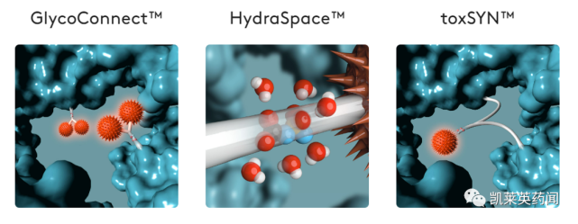 高达22亿美元，合作项目增加至7个！Synaffix扩大与MacroGenics达成的ADC技术合作_腾讯新闻