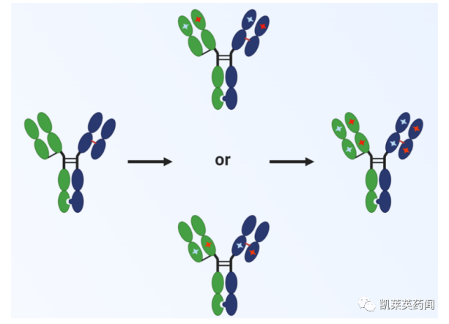 First-in-class！凡恩世Claudin 18.2/CD47双抗PT886美国I期临床完成首例患者给药_腾讯新闻