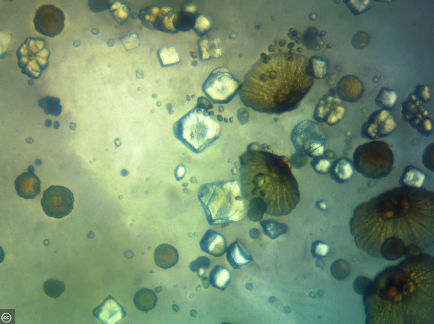 生物制造公司Biomason：微生物制造混凝土，2023年减少25％的碳排放_腾讯新闻