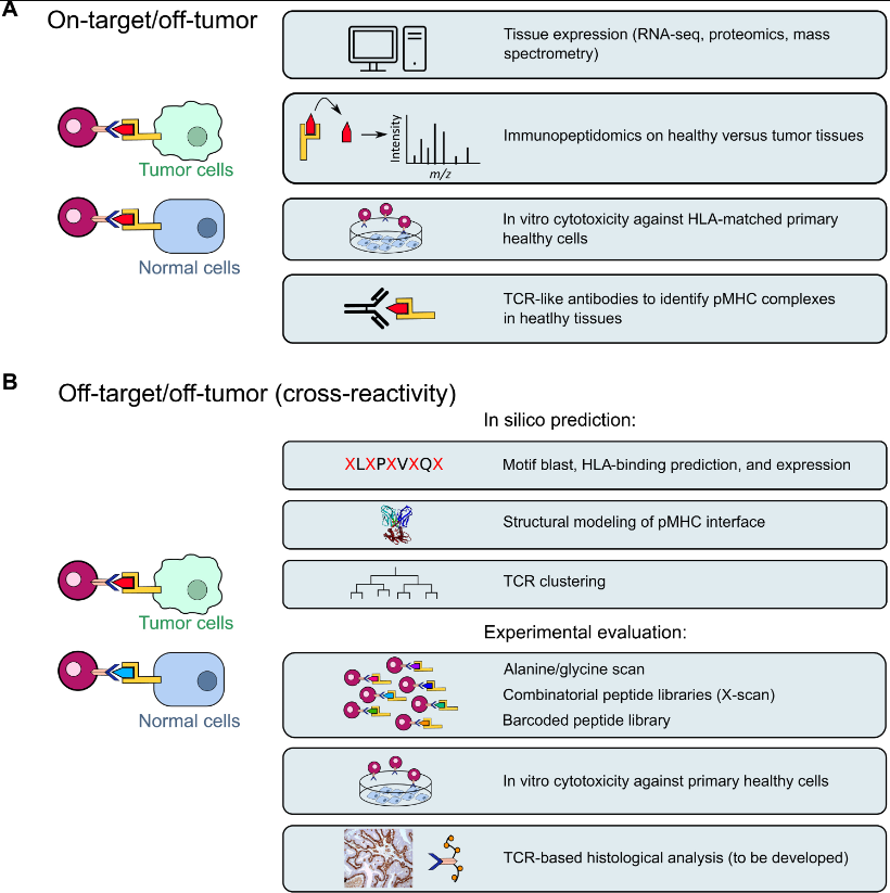Science系列综述：TCR-T治疗实体瘤的挑战与前景_腾讯新闻
