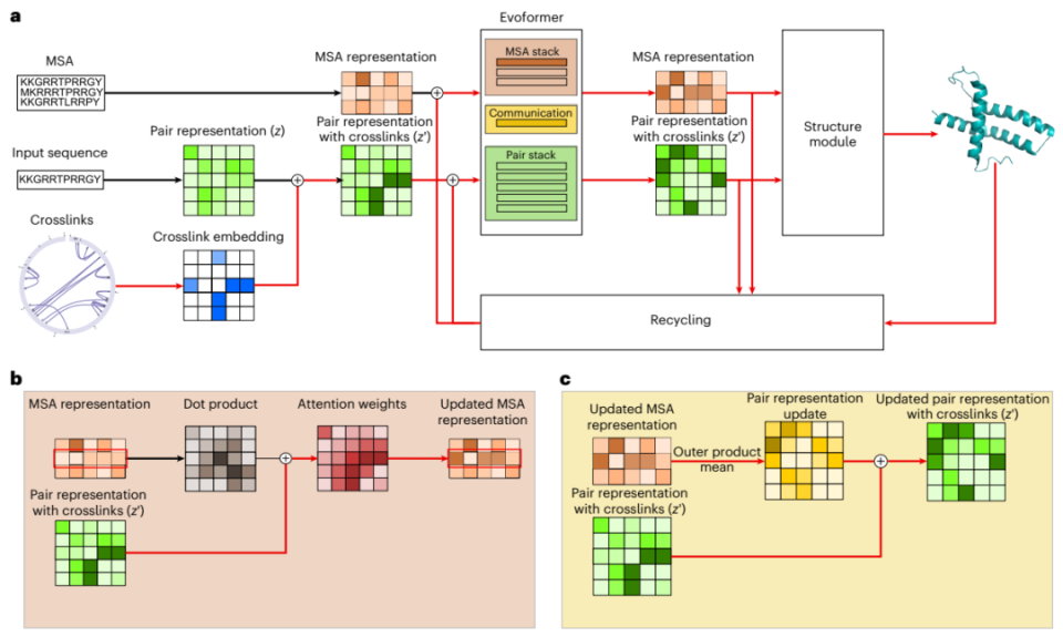 AlphaFold2升级版来了——AlphaLink_腾讯新闻