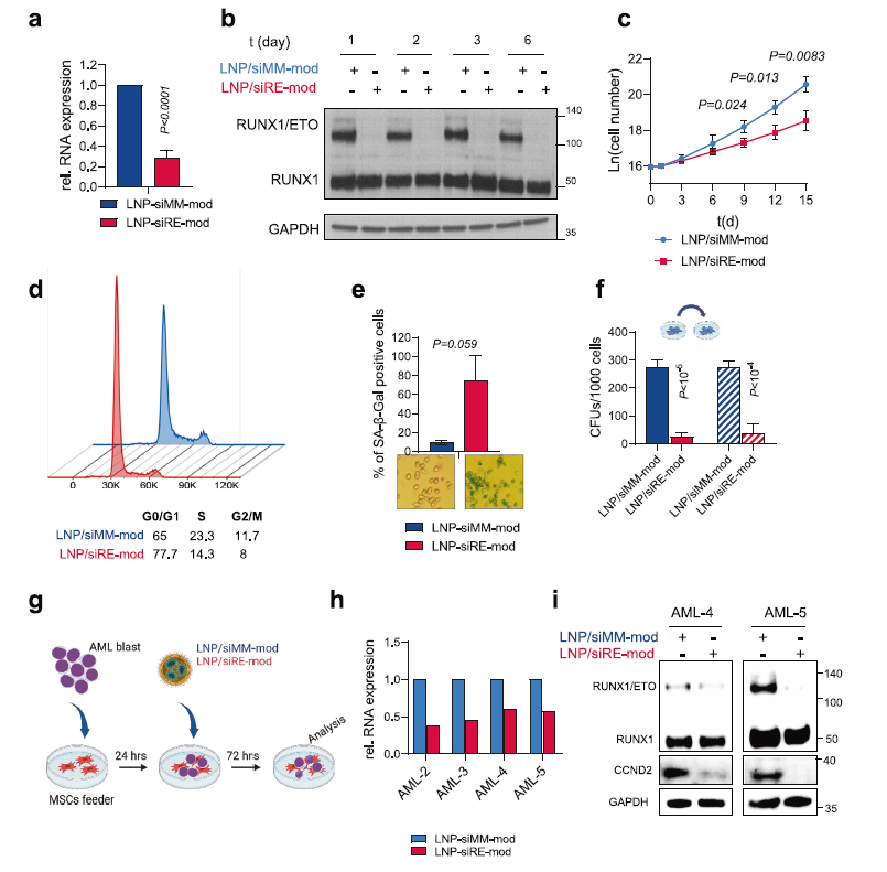 Leukemia｜纳米颗粒递送siRNA靶向融合基因治疗儿童急髓白血病_腾讯新闻