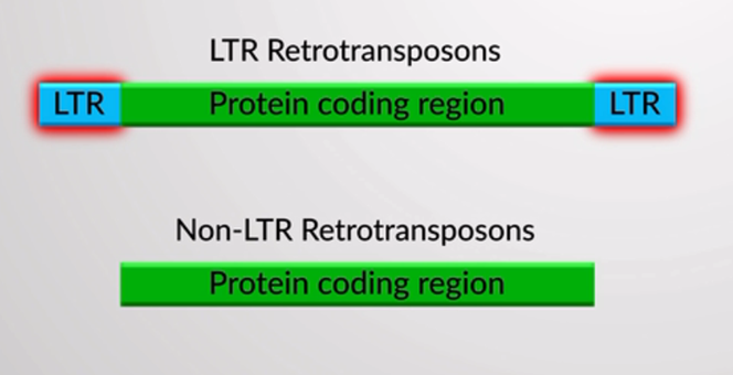 张锋团队再发Science：又一种新的基因编辑工具要来了？_腾讯新闻
