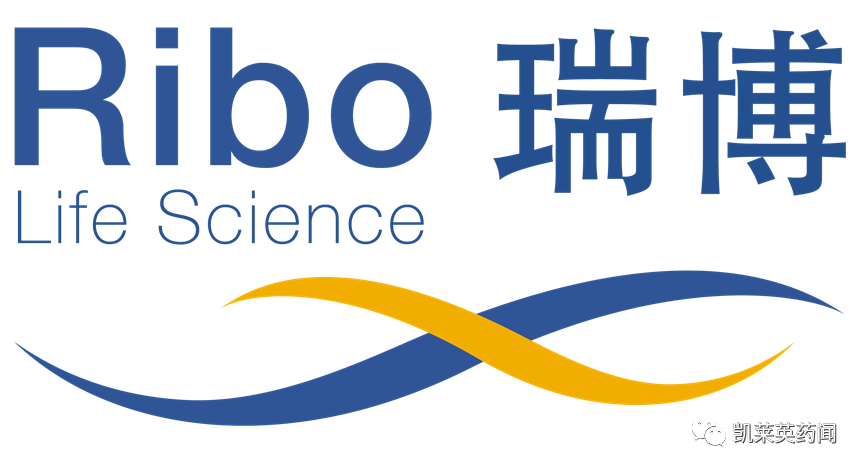 瑞博生物：两项关键技术专利获授权，夯实小核酸递送和修饰技术“护城河”_腾讯新闻