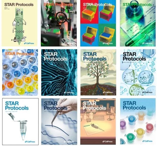 2000多套实验方案，总有一款适合你！STAR Protocols涵盖全学科_腾讯新闻