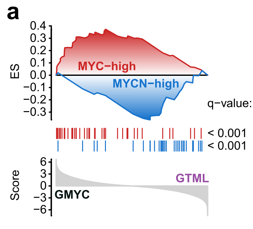 Nature子刊：MYC通过抑制ARF，增加侵袭性儿童脑瘤恶性程度_腾讯新闻