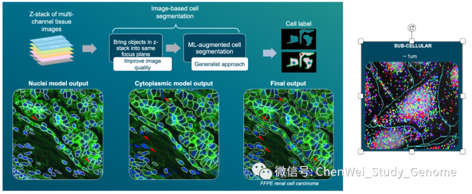 【陈巍学基因】视频：nanoString CosMx 空间分子成像系统_腾讯新闻