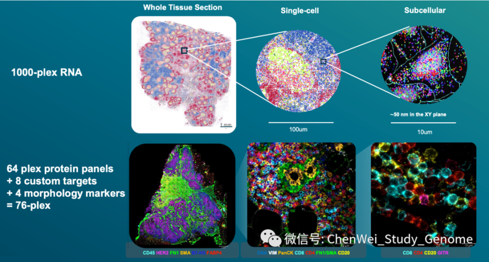 【陈巍学基因】视频：nanoString CosMx 空间分子成像系统_腾讯新闻