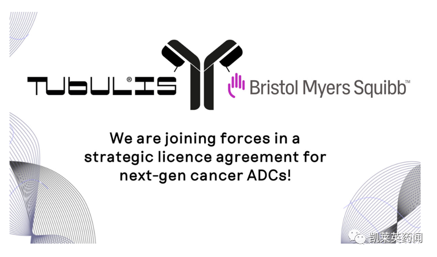 ADC交易再添10亿美元！Tubulis的ADC技术平台，为何能成为BMS冲击ADC赛道的优选？_腾讯新闻
