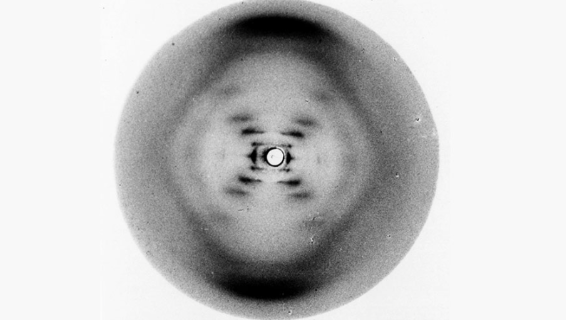 世界欠她一个诺贝尔奖，Nature最新调查发现：富兰克林或许早就知道DNA的螺旋结构_腾讯新闻