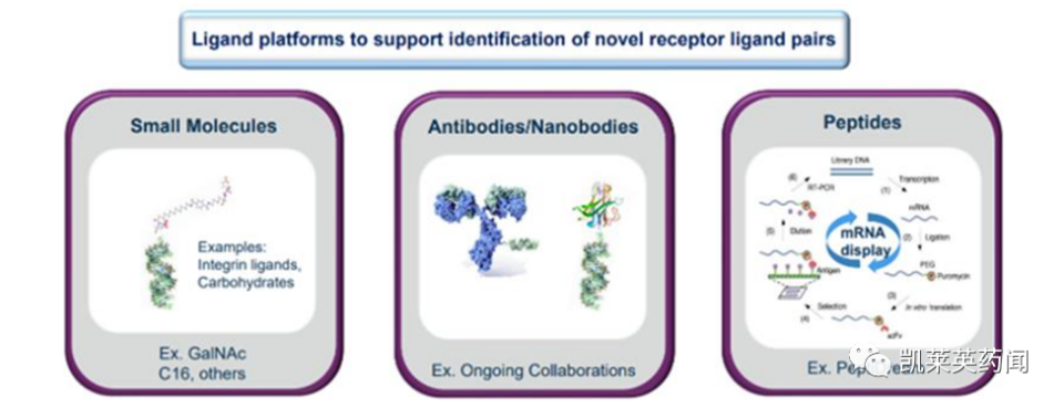Alnylam C16平台CNS递送首获临床验证！siRNA治疗AD实现超70％的APP中位降幅_腾讯新闻