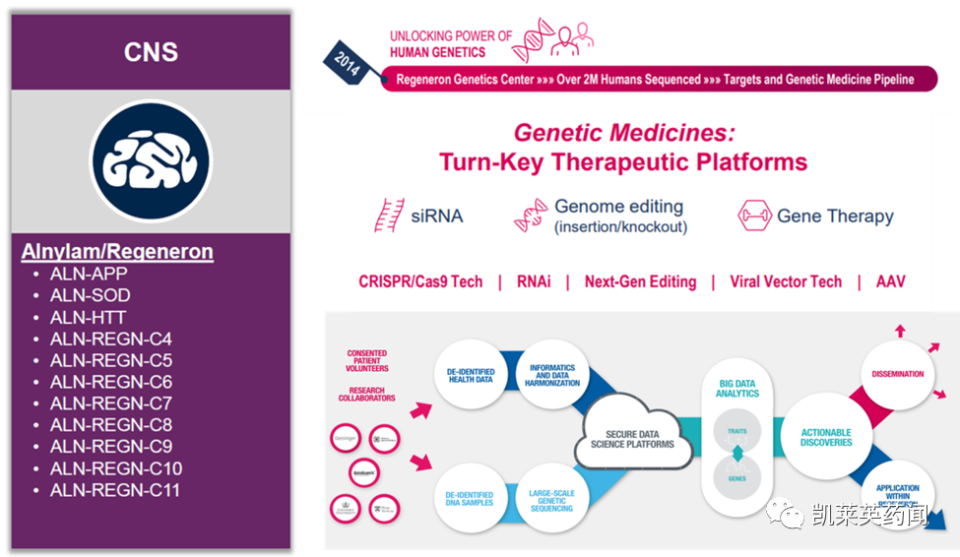 Alnylam C16平台CNS递送首获临床验证！siRNA治疗AD实现超70％的APP中位降幅_腾讯新闻