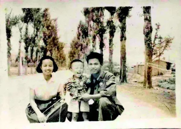 “中国芯片之母”、桂林籍女科学家黄令仪：这一生，只为一颗跳动的“中国芯”_腾讯新闻