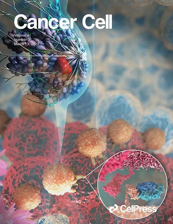 2023年3月，哪些研究登上了Cell Press期刊封面？_腾讯新闻