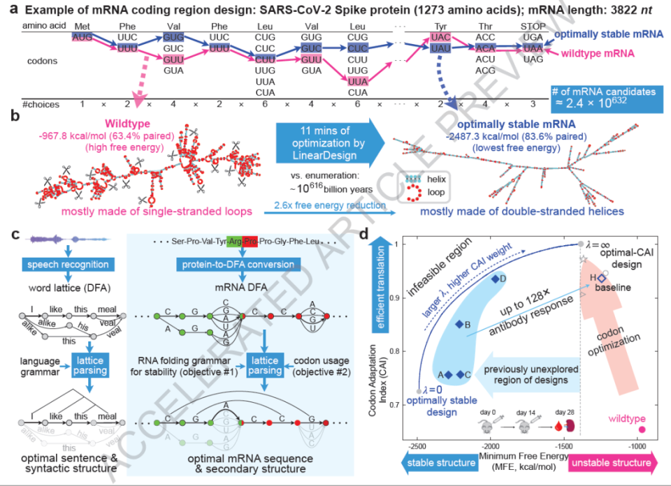 百度/斯微生物合作发表Nature论文：用AI优化设计更有效、更稳定的mRNA疫苗_腾讯新闻