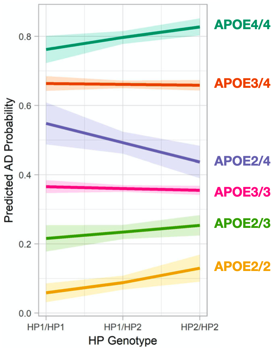 AD：科学家首次证实，最强阿尔茨海默病风险基因APOE，竟能被其他基因逆转！_腾讯新闻