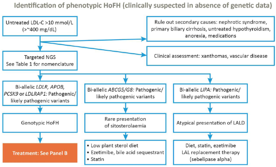 纯合子型家族性高胆固醇血症，2023 EAS共识发布！_腾讯新闻