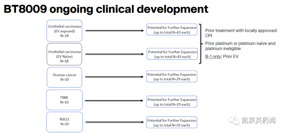 Bicycle Therapeutics：双环肽精准靶向潜力，有望使放射性偶联药物与ADC齐光_腾讯新闻