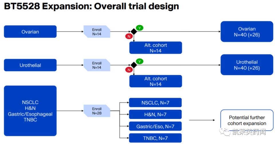 Bicycle Therapeutics：双环肽精准靶向潜力，有望使放射性偶联药物与ADC齐光_腾讯新闻