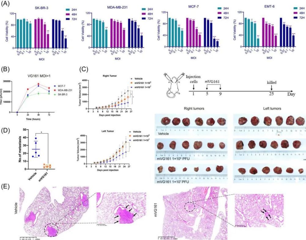 浙江大学发表“以毒攻癌”最新研究！揭示新型“毒＋药”联合治疗癌症机制_腾讯新闻