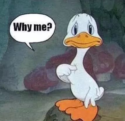 why表情包图片-千图网