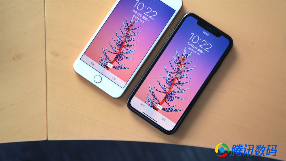 iPhone XR评测：性能拍照高水准 3D Touch取消_腾讯新闻