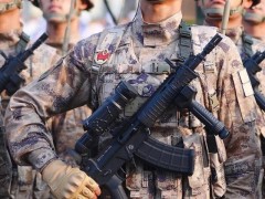 The Chinese Type 19 rifle has been unveiled to the public, should the ...