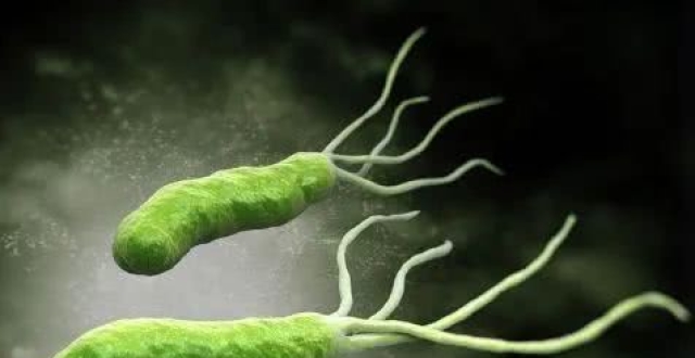 高效根除幽门螺杆菌！三合一胶囊Talicia在美国上市，根除率90％！_腾讯新闻