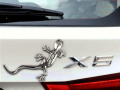 Why do many cars have "geckos" on the rear? This matter has to start ...