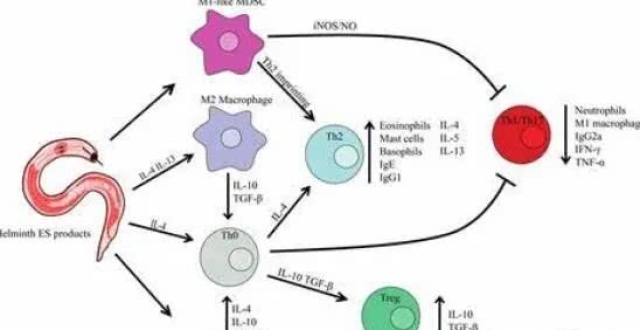 揭示抗癌细胞周期抑制剂药物介导机体免疫调节的分子机制_腾讯新闻