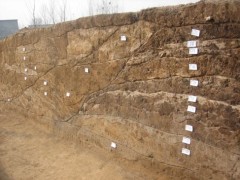 The Great Wall of Chu in Biyang County: A Memory Enclosed in History ...