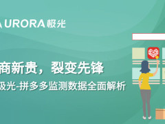 Aurora: Comprehensive analysis of Pinduoduo data, unveiling the "veil ...