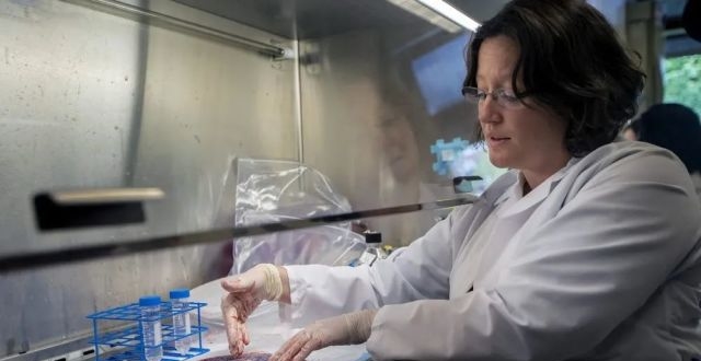 95岁高龄！2020诺奖热门Jack Strominger教授_腾讯新闻