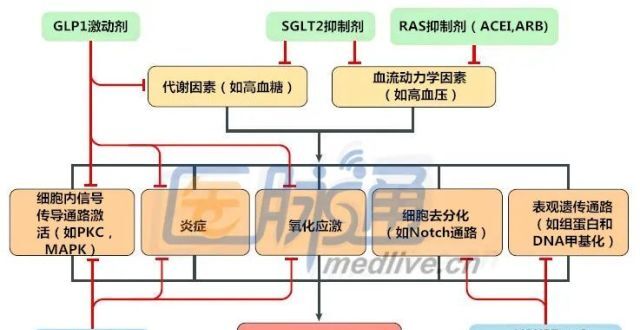 不止SGLT-2i和GLP-1RA，“糖尿病肾病”治疗最新进展！_腾讯新闻