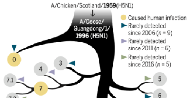 史卫峰教授在《科学》杂志发表高致病性H5N8禽流感病毒观点文章_腾讯新闻