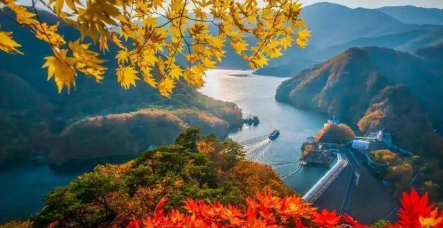 又是一年枫叶红！今秋本溪最佳赏枫地点大汇总，赶快收藏！_腾讯新闻
