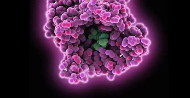 Neuron：李毓龙实验室开发新型基因编码的ATP探针GRAB-ATP_腾讯新闻