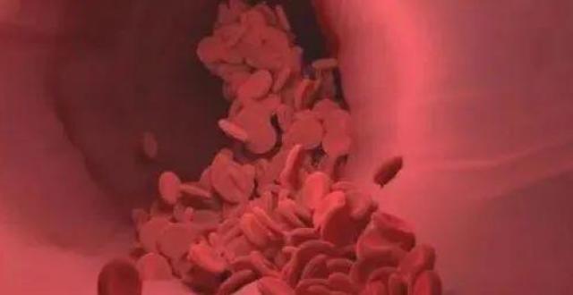 Cell Rep：重磅！科学家首次实现对血管内皮细胞进行基因组编辑！_腾讯新闻