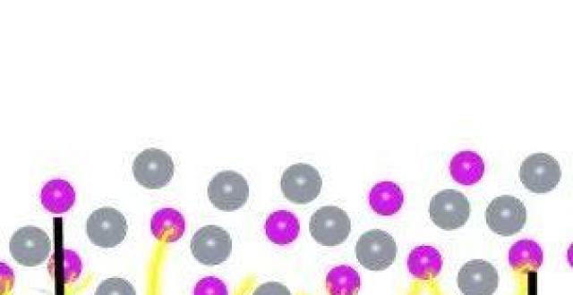 Michael D.Guiver教授/姜忠义教授/尹燕教授CEJ观点：限域传质机制指导大孔分离小分子_腾讯新闻