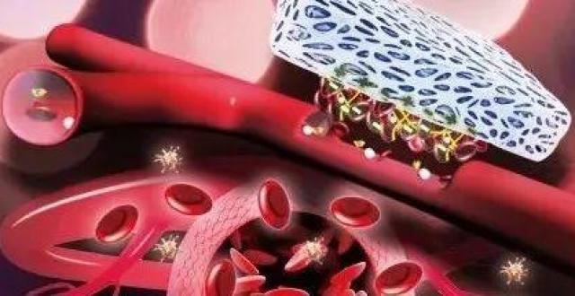 Biomedical Polymer Materials专题 |《中国科学：技术科学》_腾讯新闻