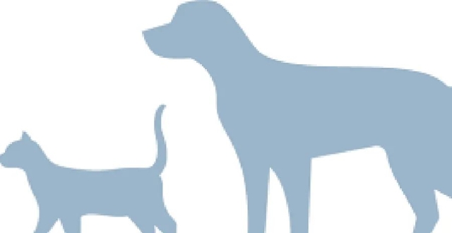 动物保健公司Invetx获6050万美元融资，助力抗体疗法进入兽医领域_腾讯新闻