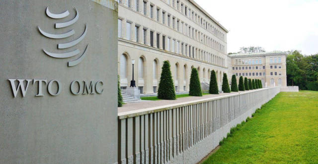 WTO MC12会议6月12日召开，区块链有望登上部长们的会议桌_腾讯新闻