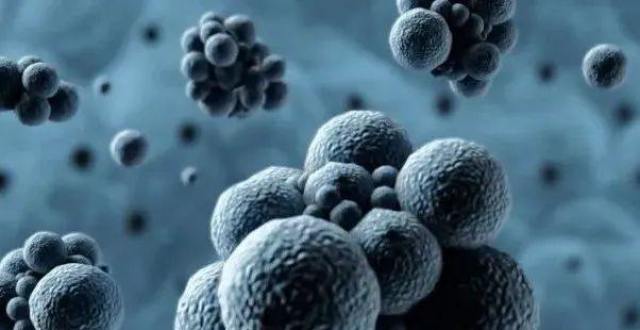 Cancer Res：重磅！识别出在大多数癌症中都会表达的关键基因！_腾讯新闻