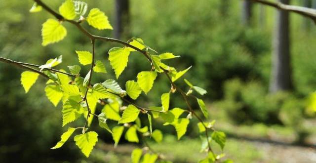 英国农业技术公司IAG推出GrowFrame 360精准种植技术，助力垂直农耕_腾讯新闻