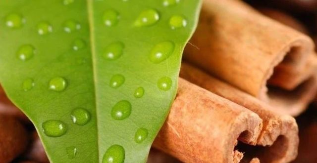 如何在 Arch Linux 中安装 Cinnamon 桌面｜Linux 中国_腾讯新闻