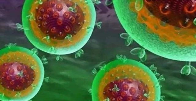 Replimune与罗氏就开发RP2/3溶瘤病毒达成临床合作协议，用于治疗结直肠癌和肝细胞癌_腾讯新闻