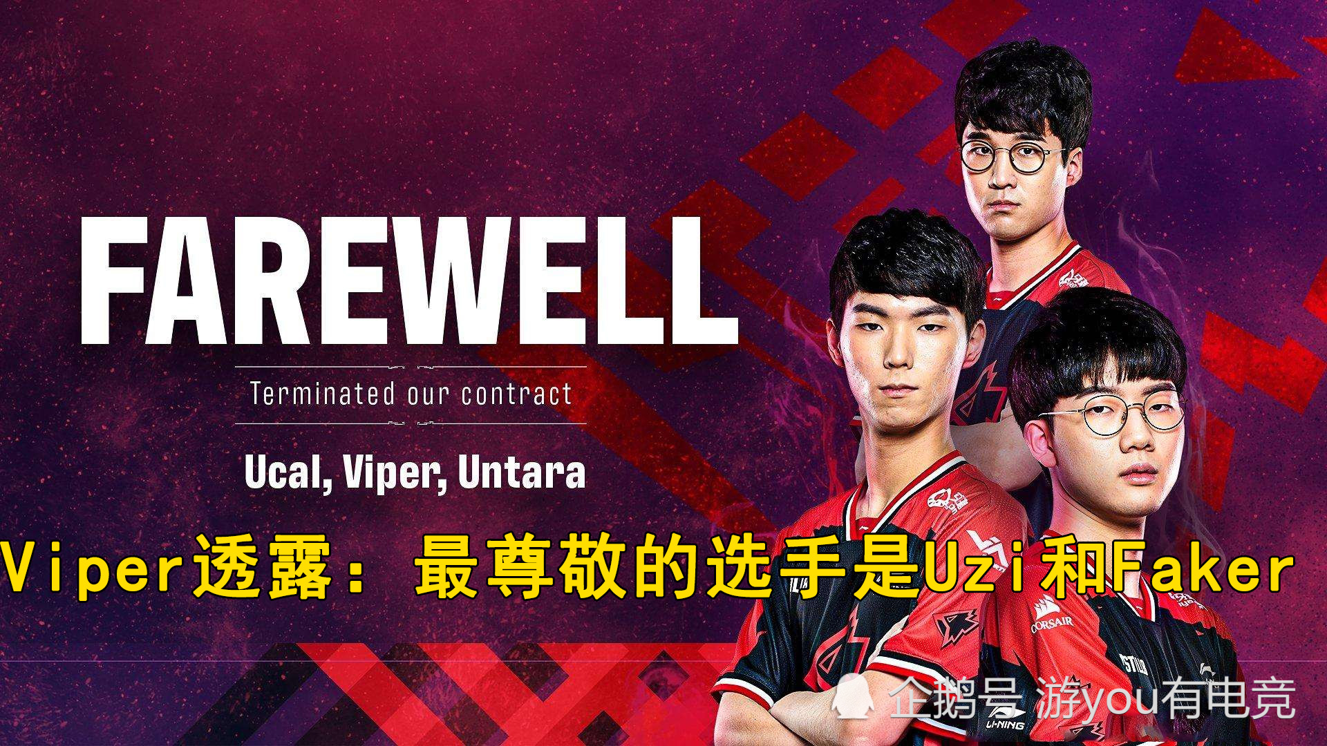 viper选手资料-千图网